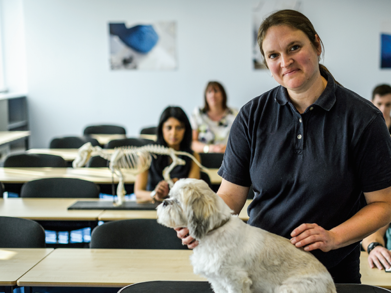 New, first of its kind, undergraduate Masters degree in Veterinary ...